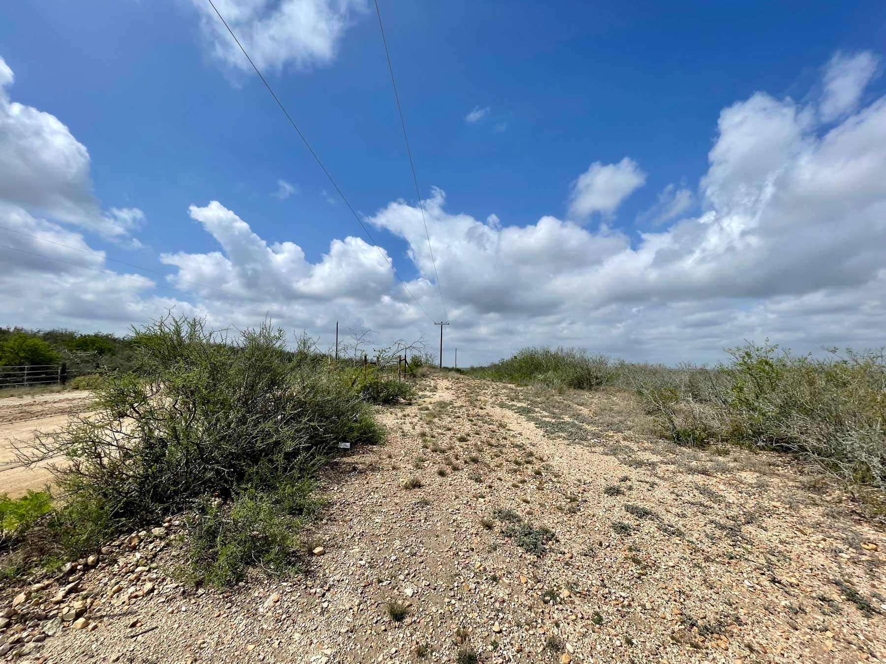 Moore Hills Ranches - Texas Ranch Kings Realty