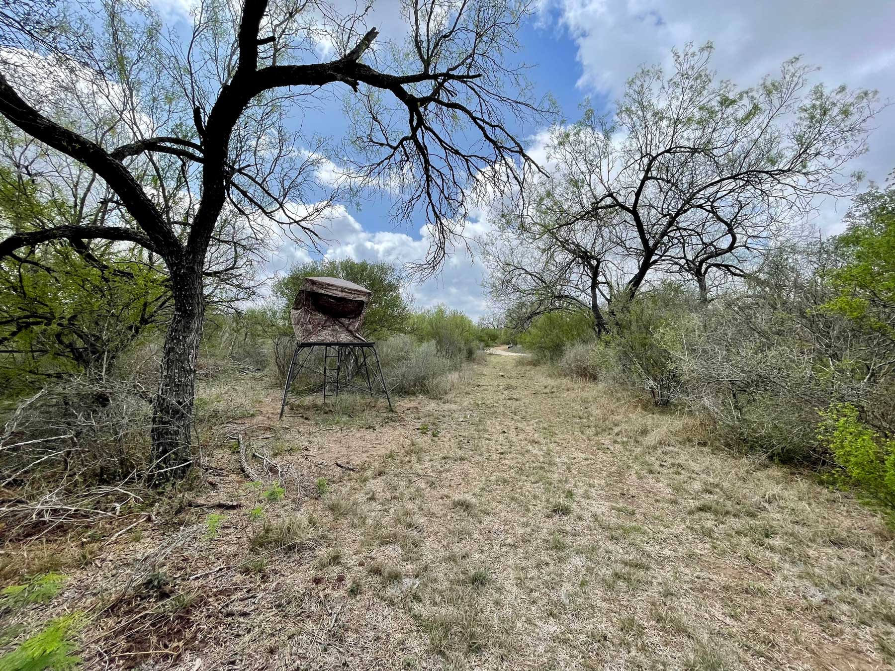 Moore Hills Ranches - Texas Ranch Kings Realty