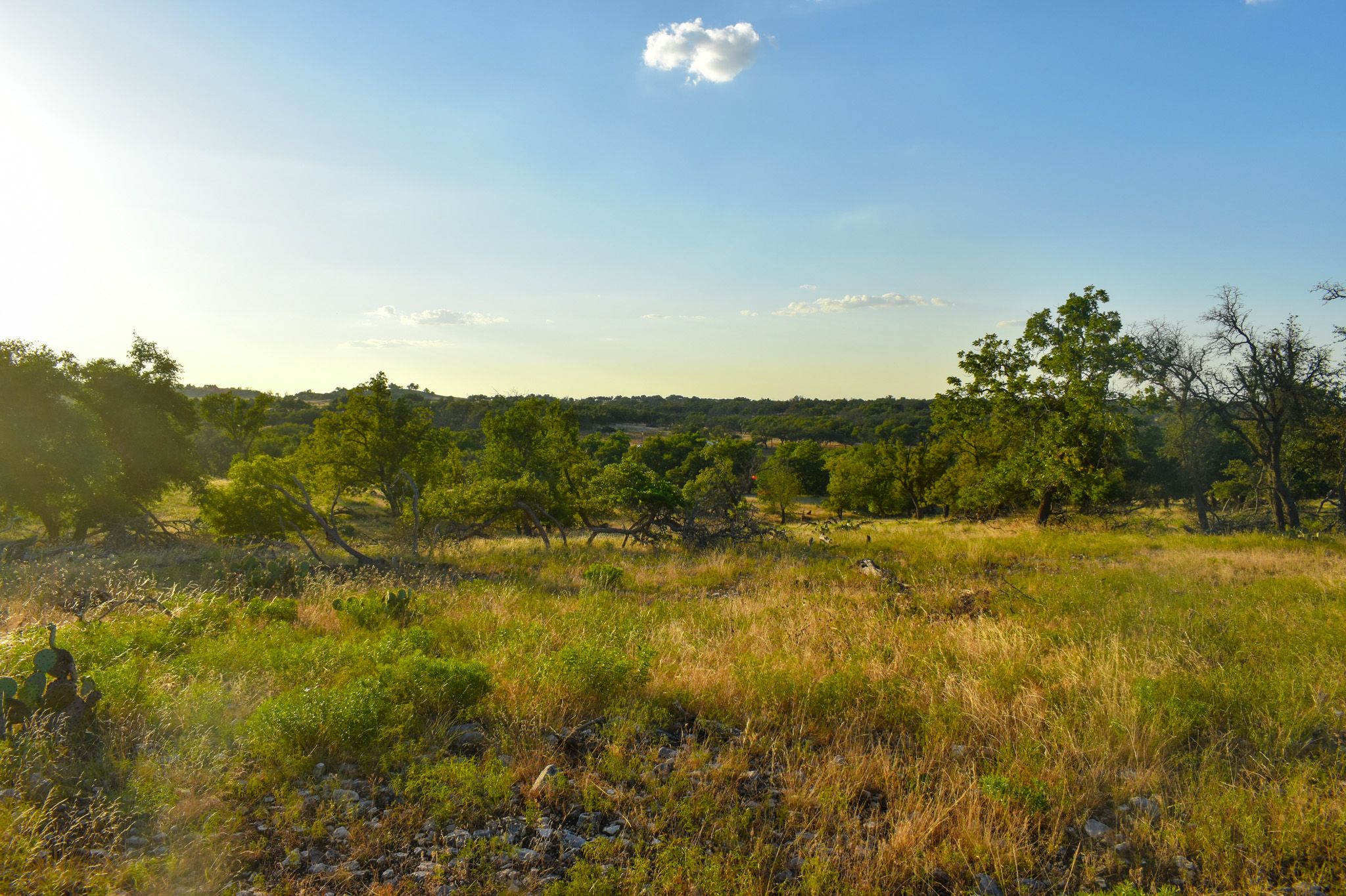 Pecan Springs Ranch - Texas Ranch Kings Realty
