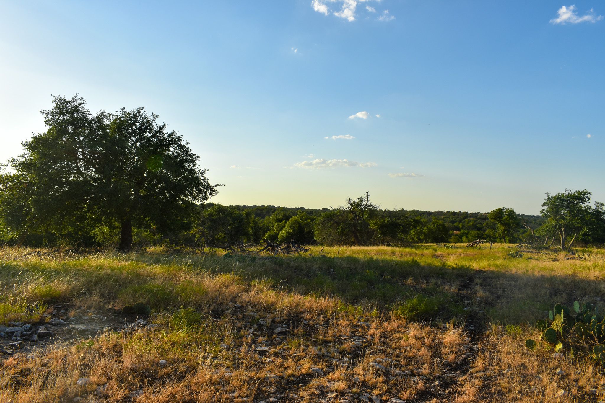 Pecan Springs Ranch - Texas Ranch Kings Realty