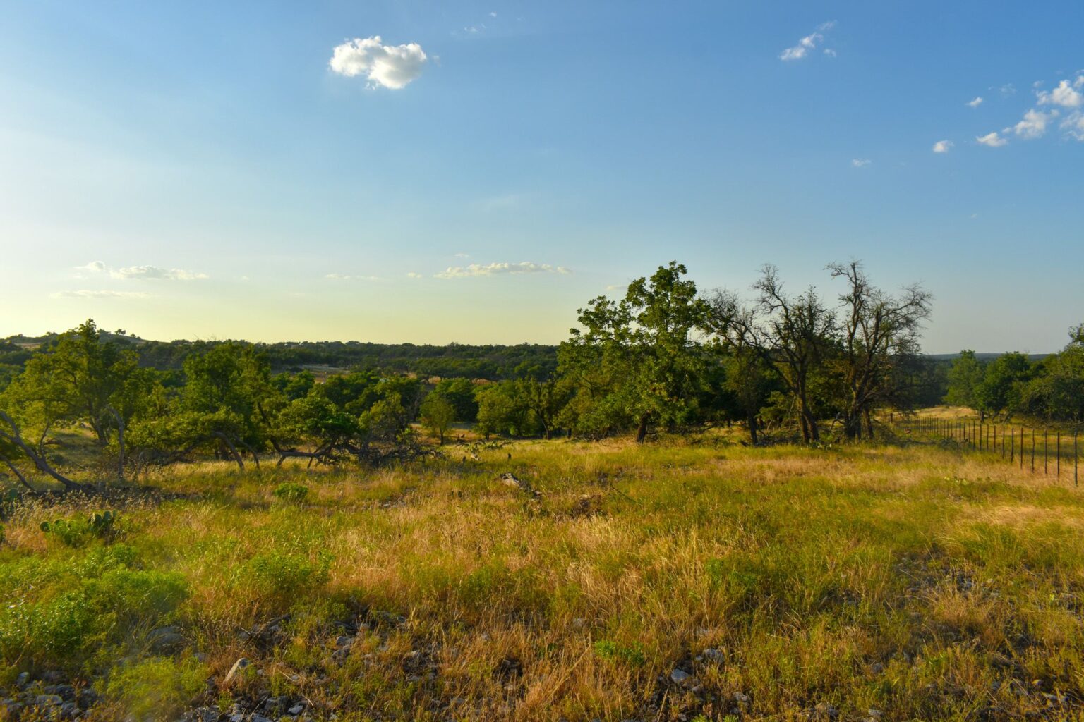Pecan Springs Ranch - Texas Ranch Kings Realty