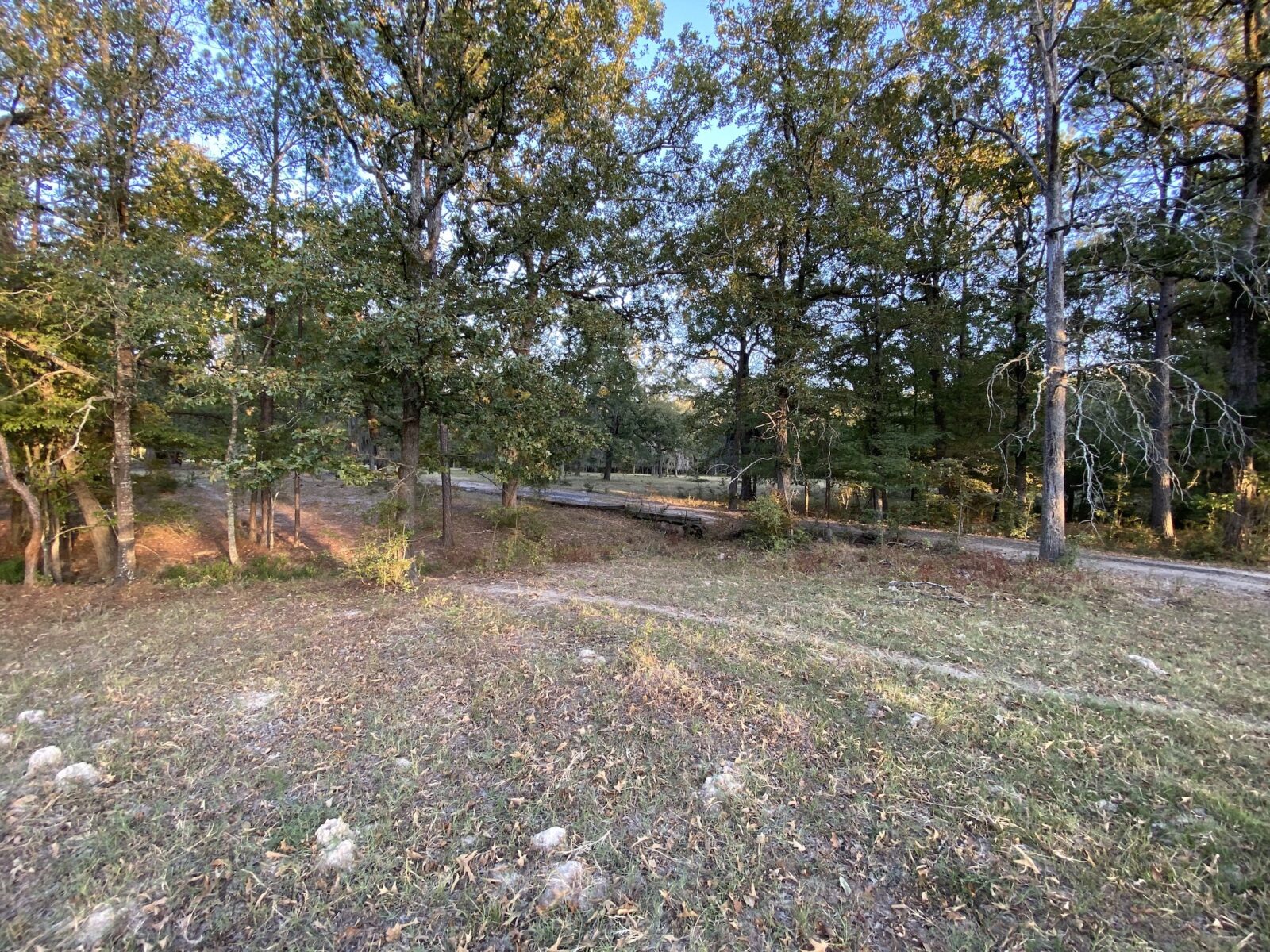 Durham Ranch - Texas Ranch Kings Realty