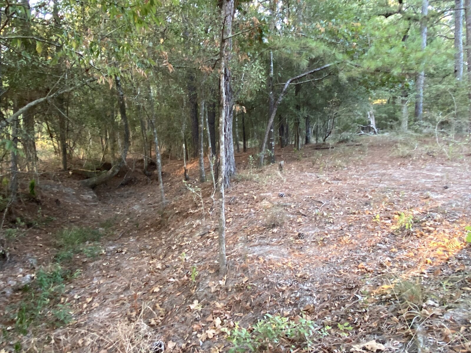 Durham Ranch - Texas Ranch Kings Realty