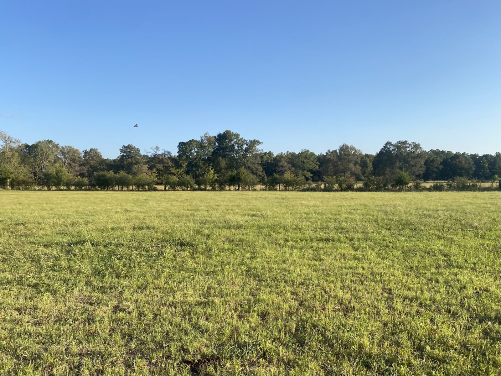 Durham Ranch - Texas Ranch Kings Realty