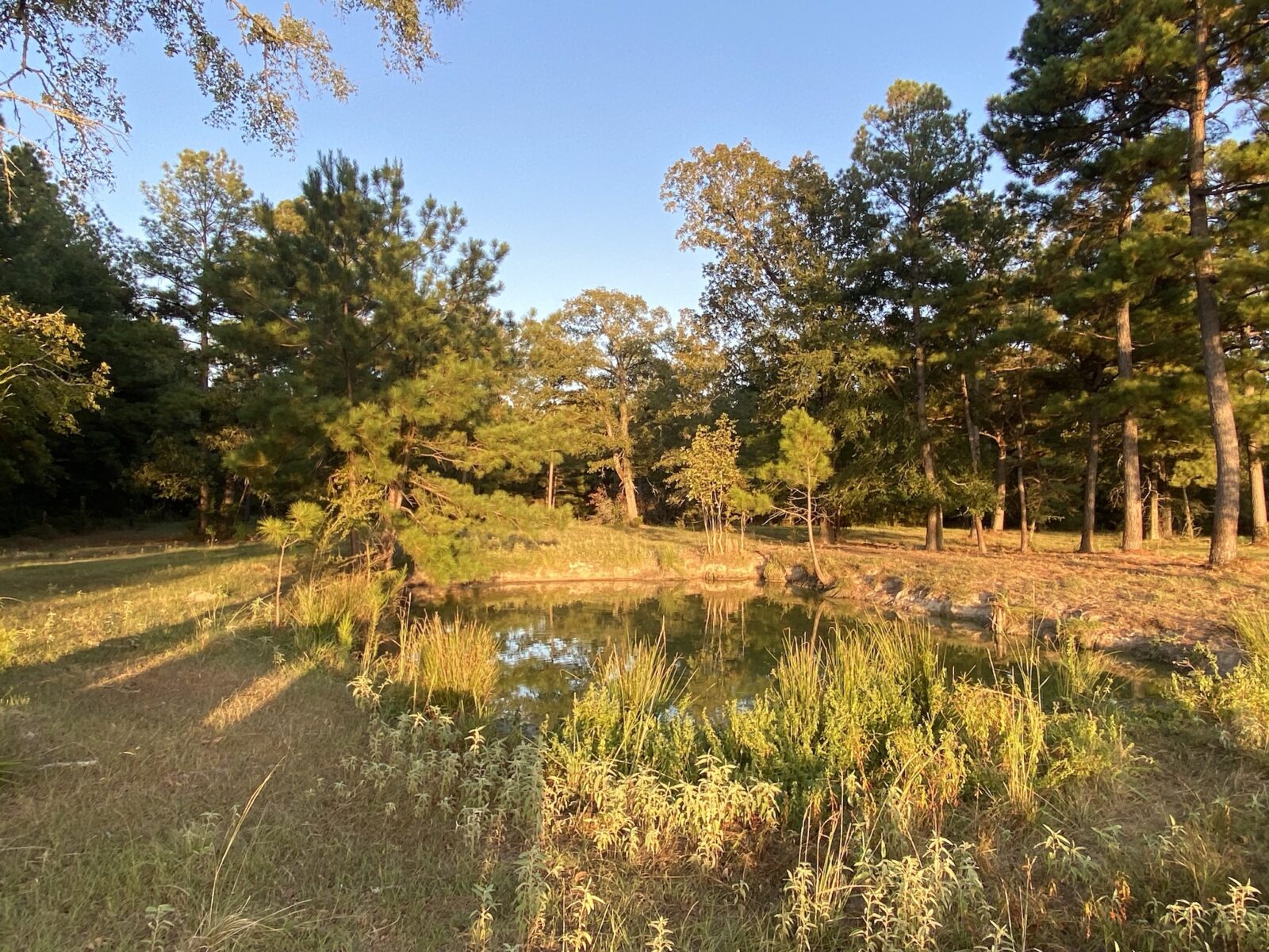 Durham Ranch - Texas Ranch Kings Realty