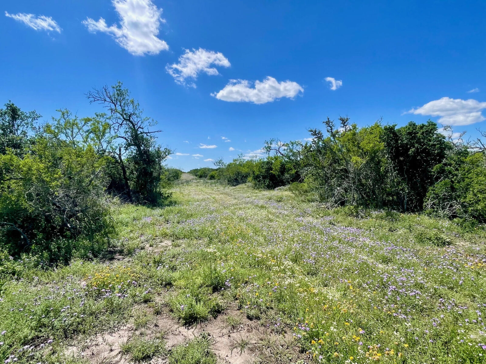 Triple E Ranch - Texas Ranch Kings Realty