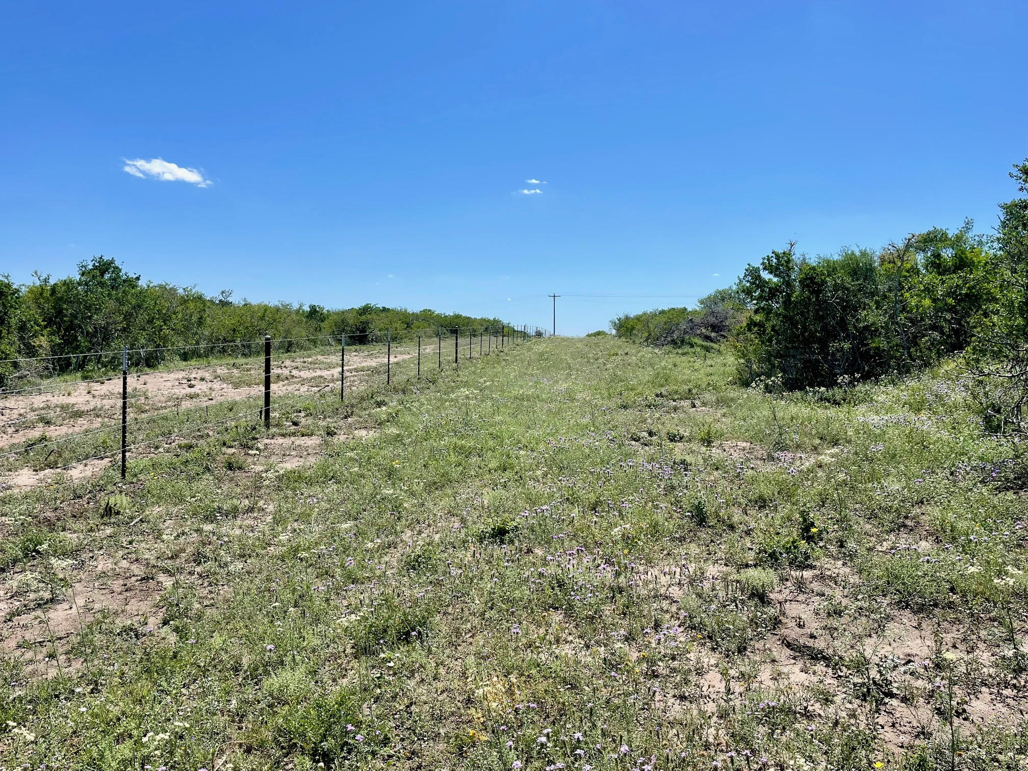 Triple E Ranch - Texas Ranch Kings Realty