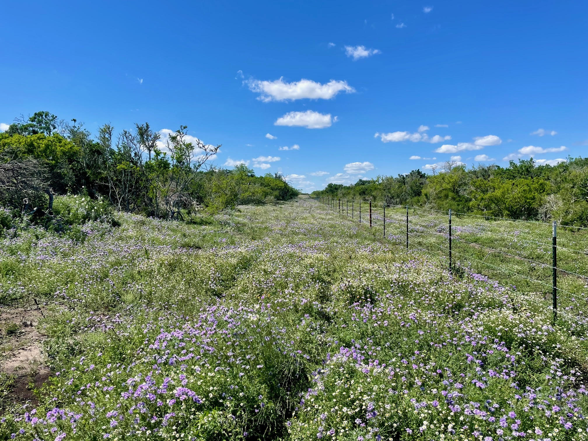 Triple E Ranch - Texas Ranch Kings Realty