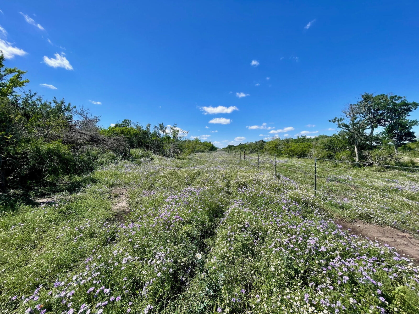 Triple E Ranch - Texas Ranch Kings Realty