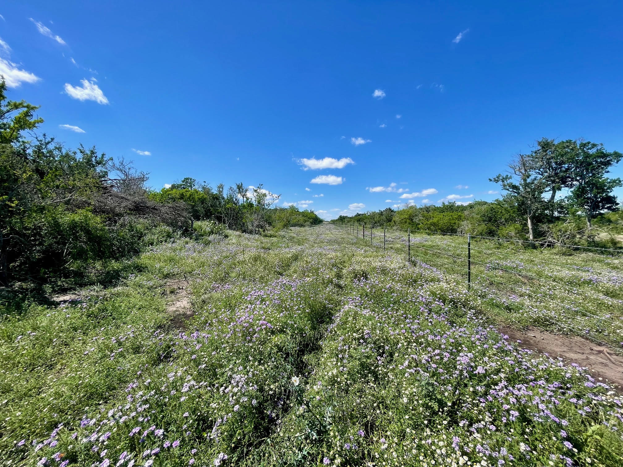 Triple E Ranch - Texas Ranch Kings Realty