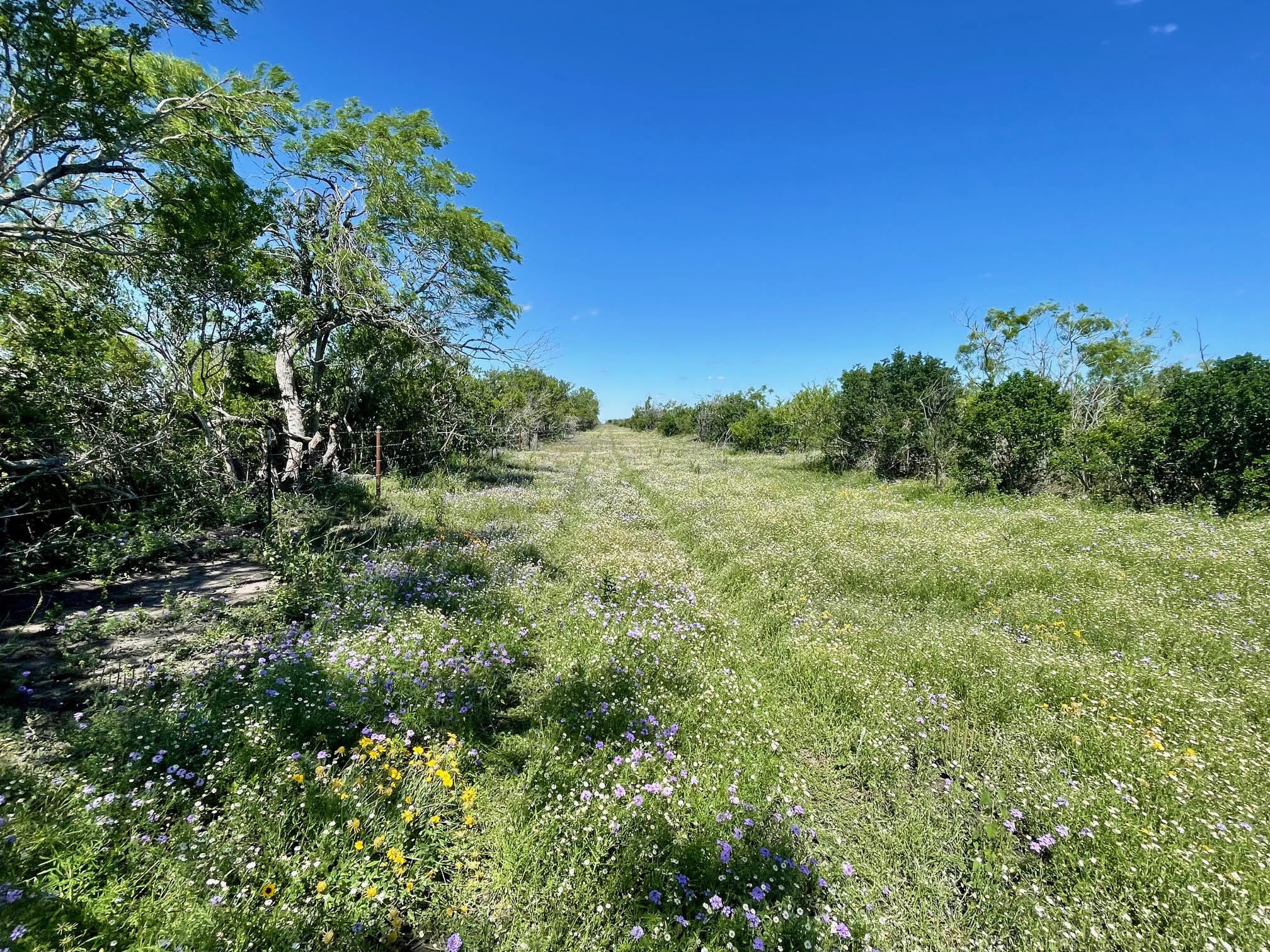 Triple E Ranch - Texas Ranch Kings Realty
