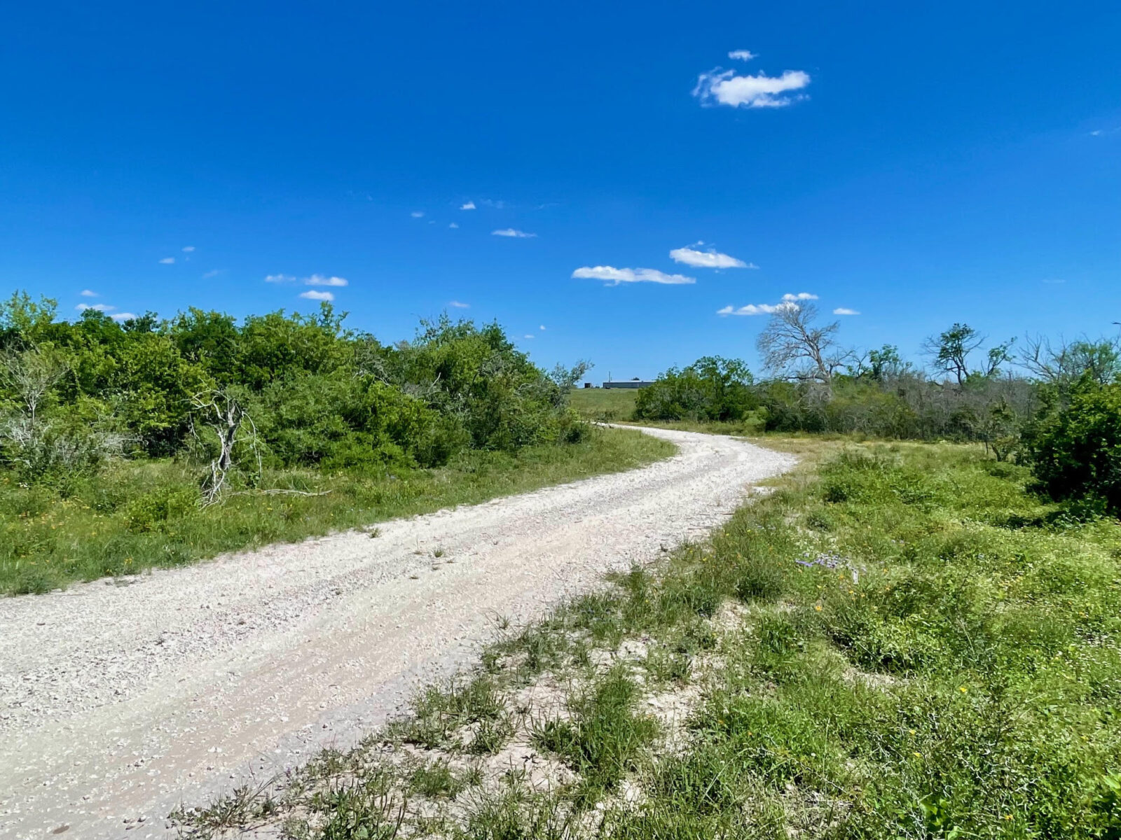 Triple E Ranch - Texas Ranch Kings Realty