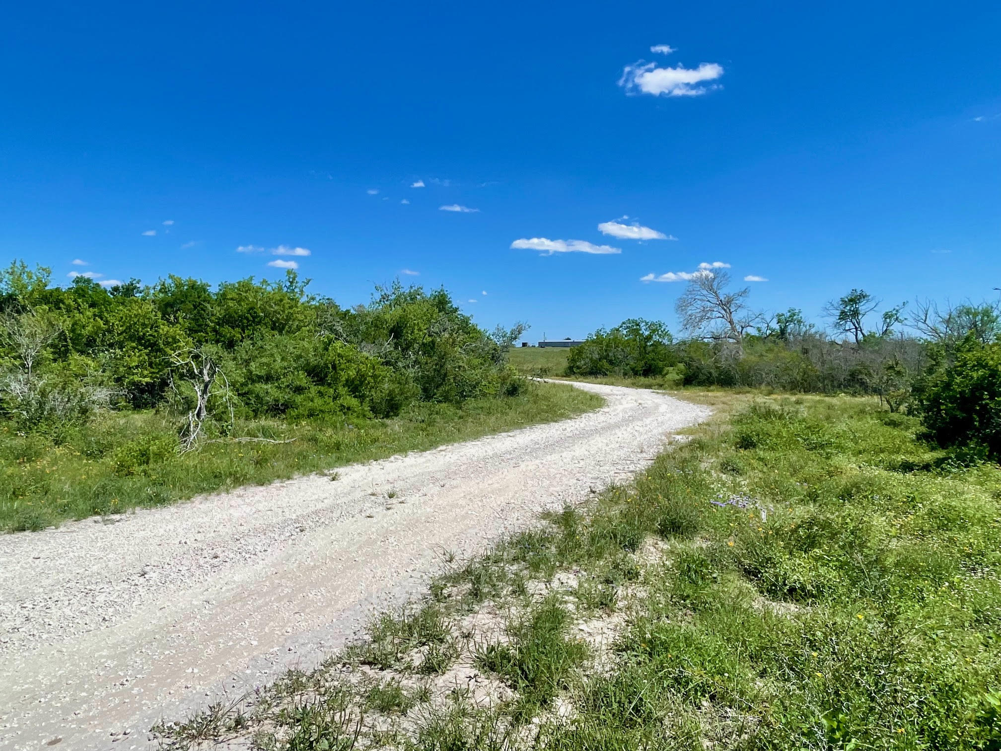 Triple E Ranch - Texas Ranch Kings Realty
