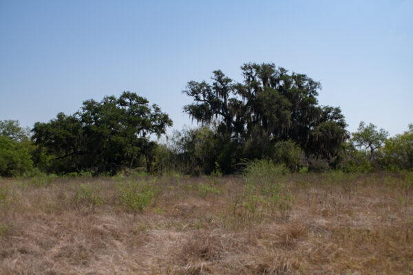 Toro Creek Ranches - Texas Ranch Kings Realty