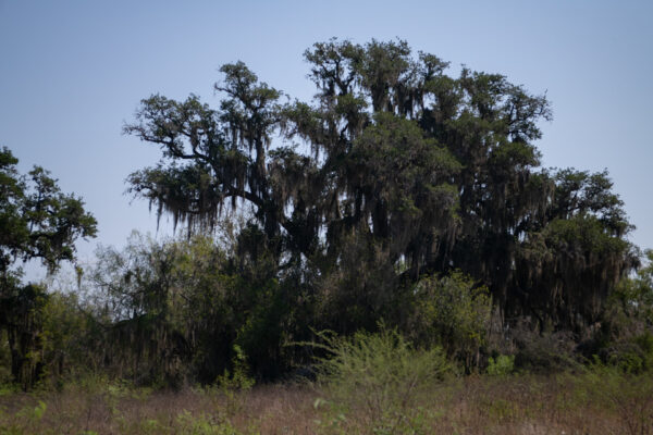Toro Creek Ranches - Texas Ranch Kings Realty