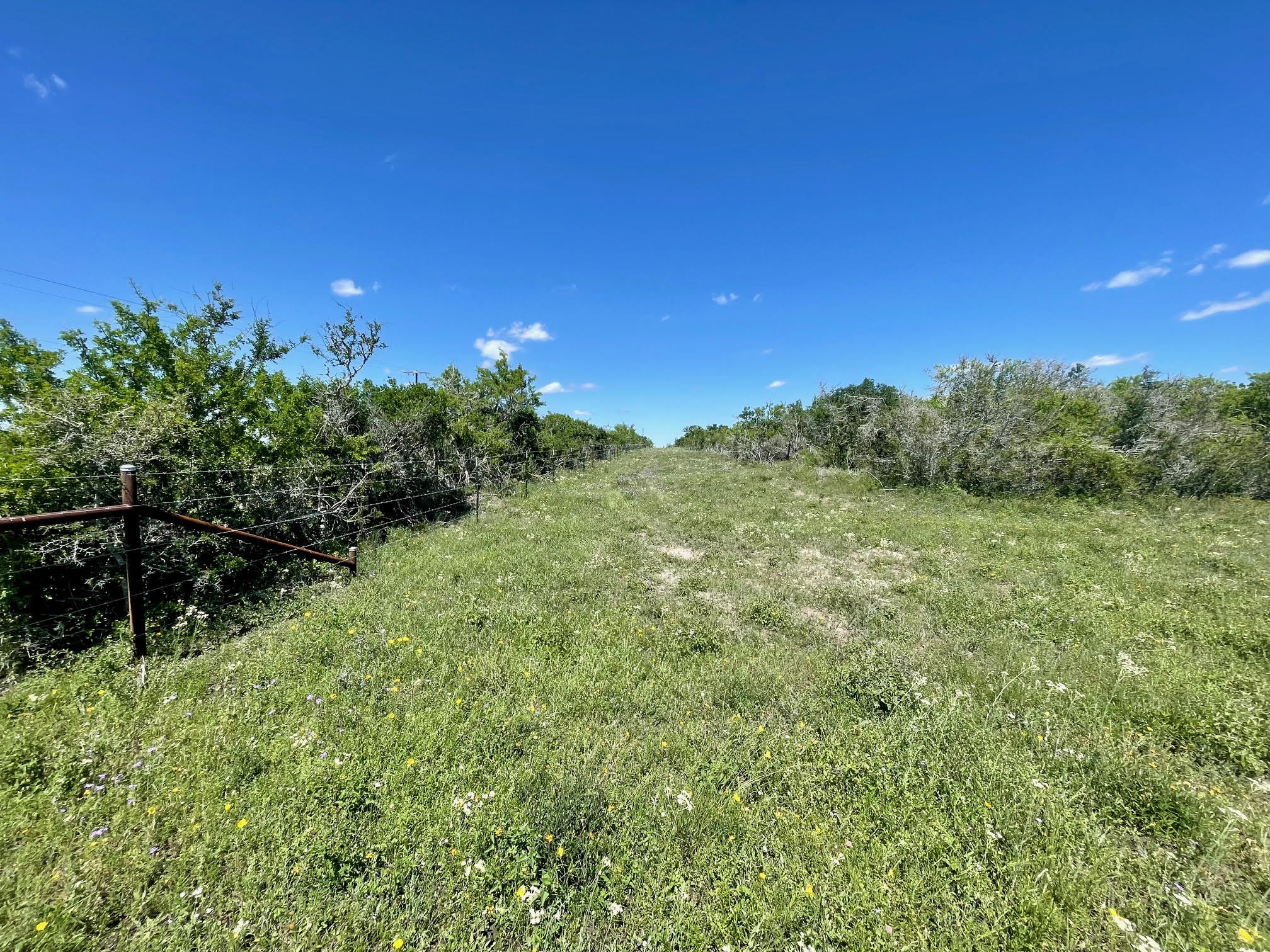 Triple E Ranch - Texas Ranch Kings Realty