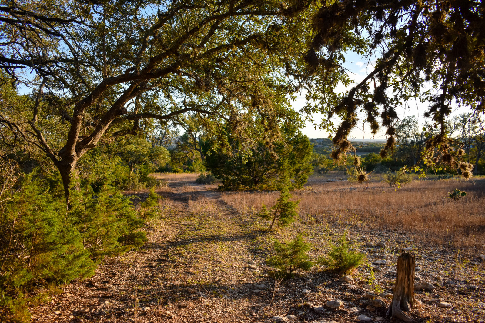 Broken Cedar Ranch - Texas Ranch Kings Realty