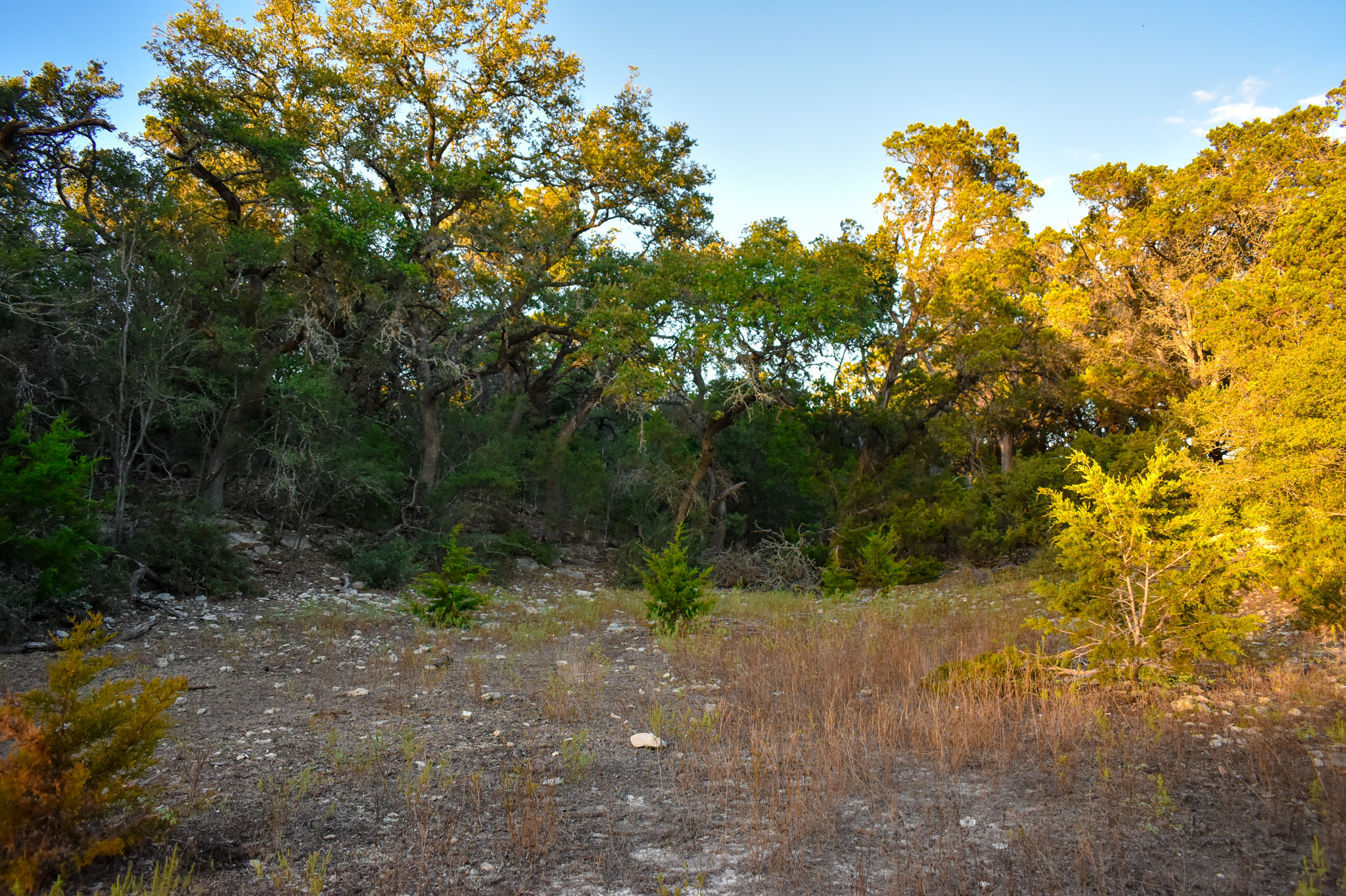 Broken Cedar Ranch - Texas Ranch Kings Realty