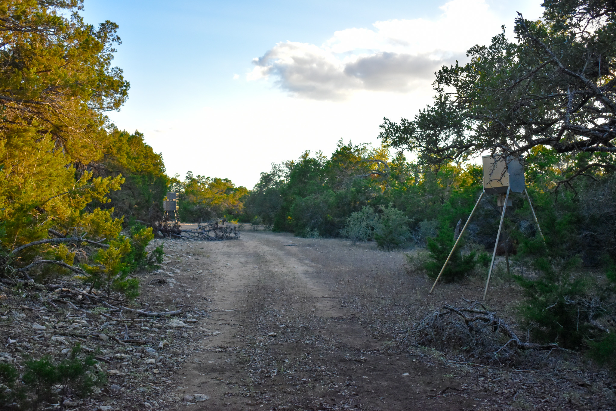 Broken Cedar Ranch - Texas Ranch Kings Realty