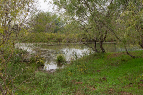 Picosa Creek Ranch - Texas Ranch Kings Realty