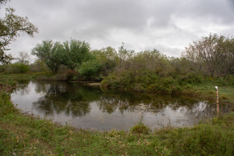 Picosa Creek Ranch - Texas Ranch Kings Realty