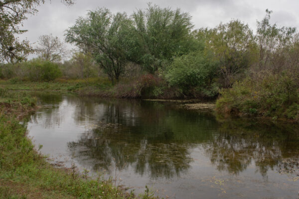 Picosa Creek Ranch - Texas Ranch Kings Realty