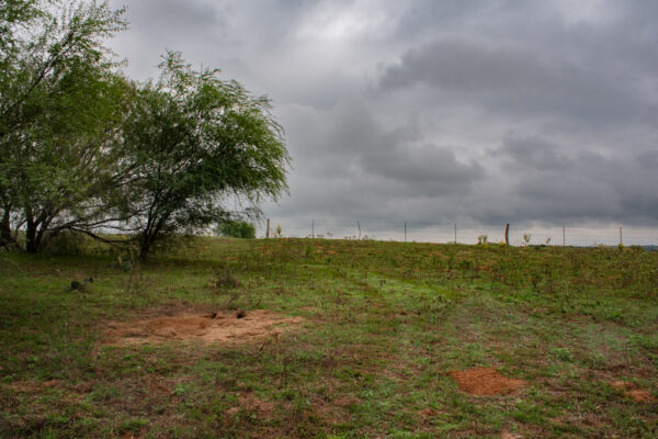 Picosa Creek Ranch - Texas Ranch Kings Realty