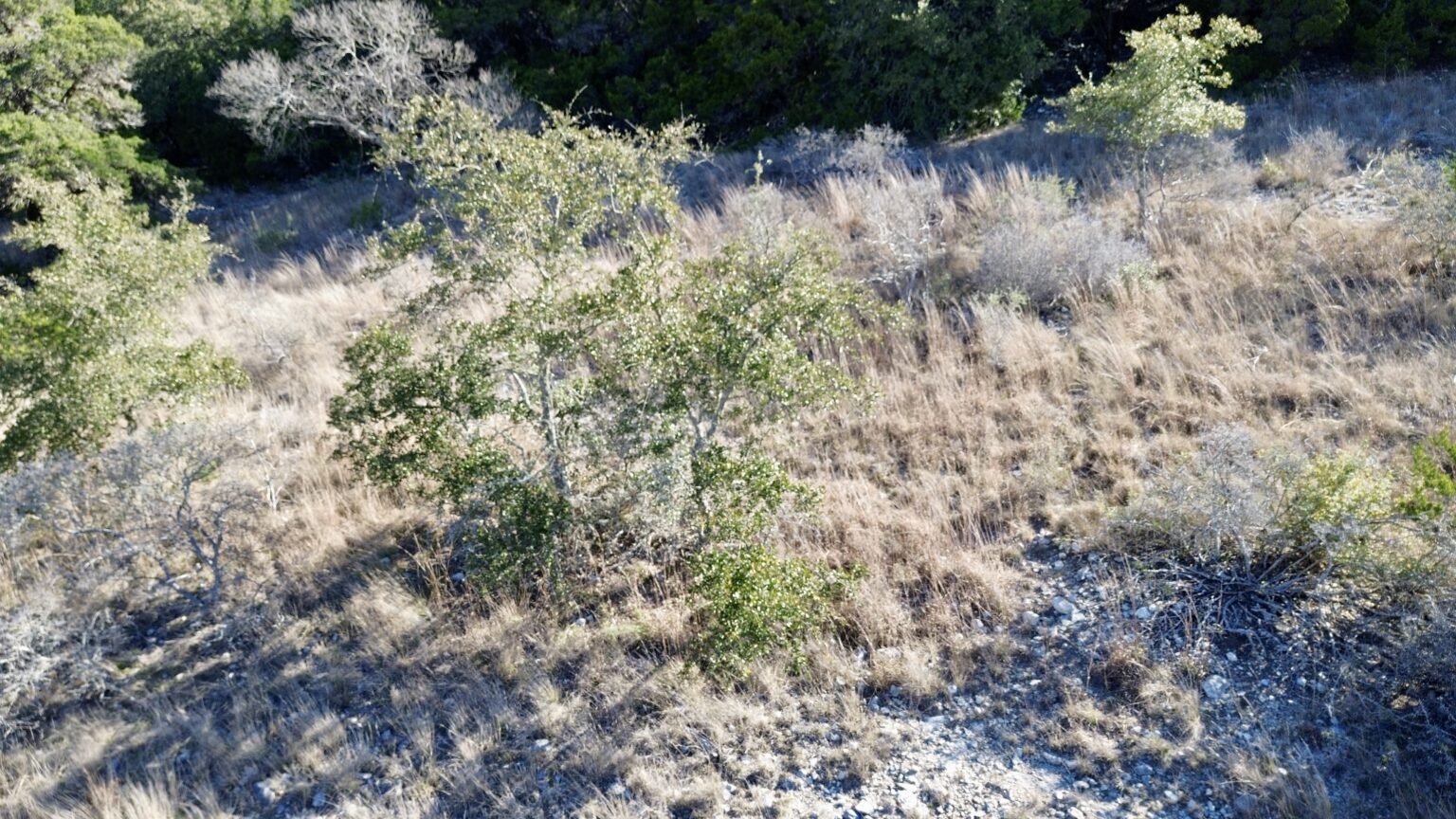 Bandera Ranchette - Texas Ranch Kings Realty