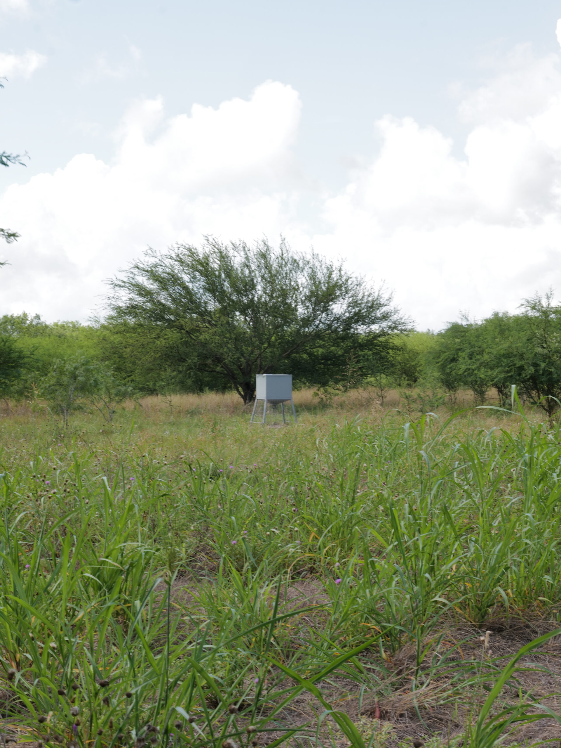 Hobson Ranchettes - Texas Ranch Kings Realty